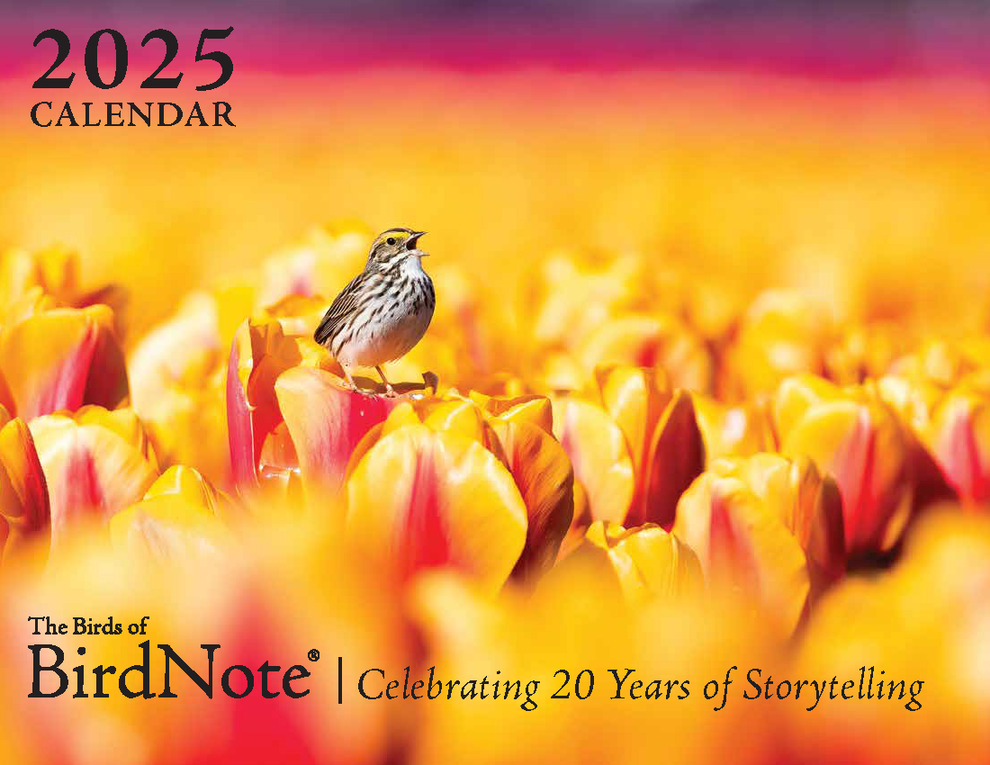 2025 Birds of BirdNote Wall Calendar – BirdNote Store